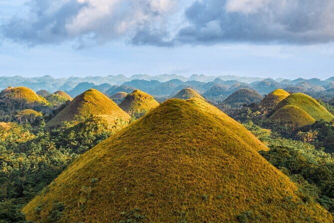 Bohol Choco Tour with Loboc River Lunch Buffet - Practical Considerations