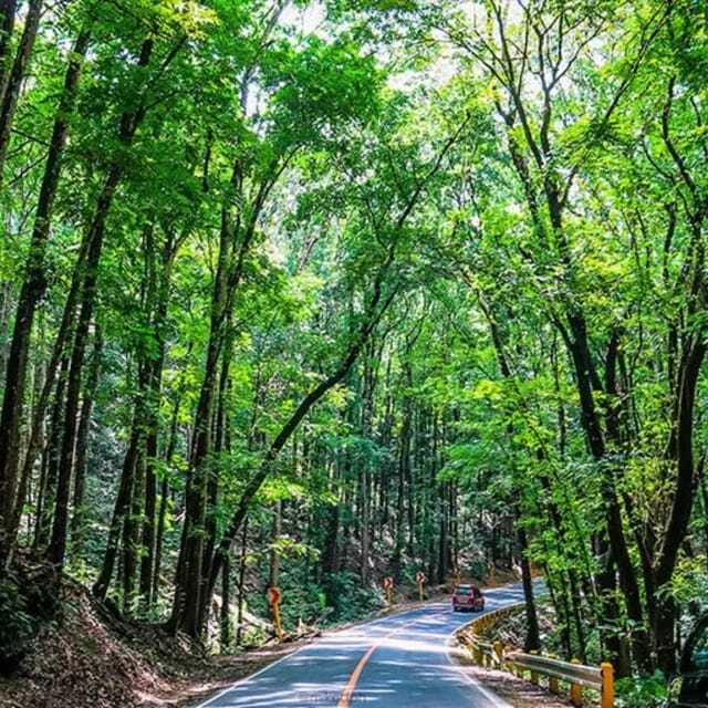 Bohol Choco Tour with Loboc River Lunch (Shared Tour) - The Value and Realistic Expectations