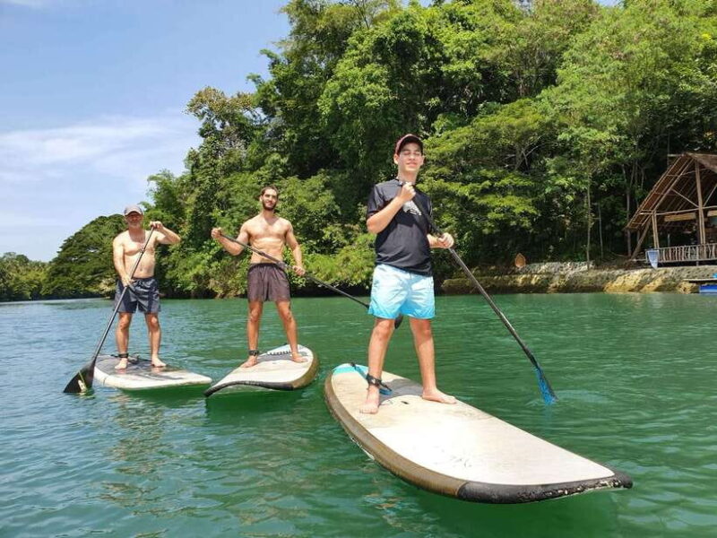 Bohol: Chocolate Hills and Countryside Tour - Authenticity and Traveler Feedback