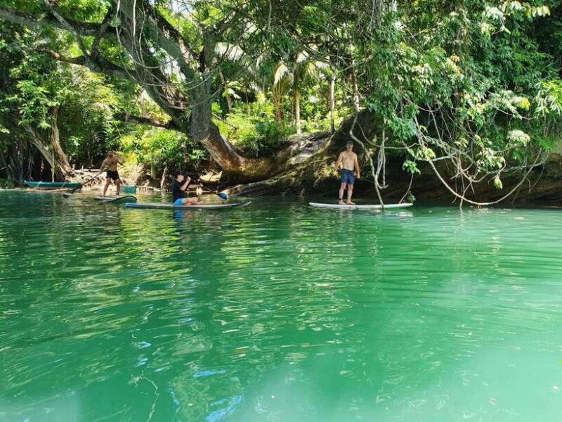 Bohol: Chocolate Hills and Countryside Tour - Who Should Consider This Tour?