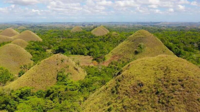 Bohol: Chocolate Hills and Countryside Tour - Shaded Serenity: Bohol Manmade Forest