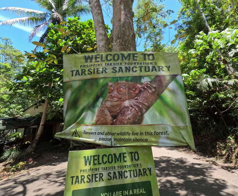 Bohol: Chocolate hills Private Eco-Tours - A Deep Dive into the Tour Experience