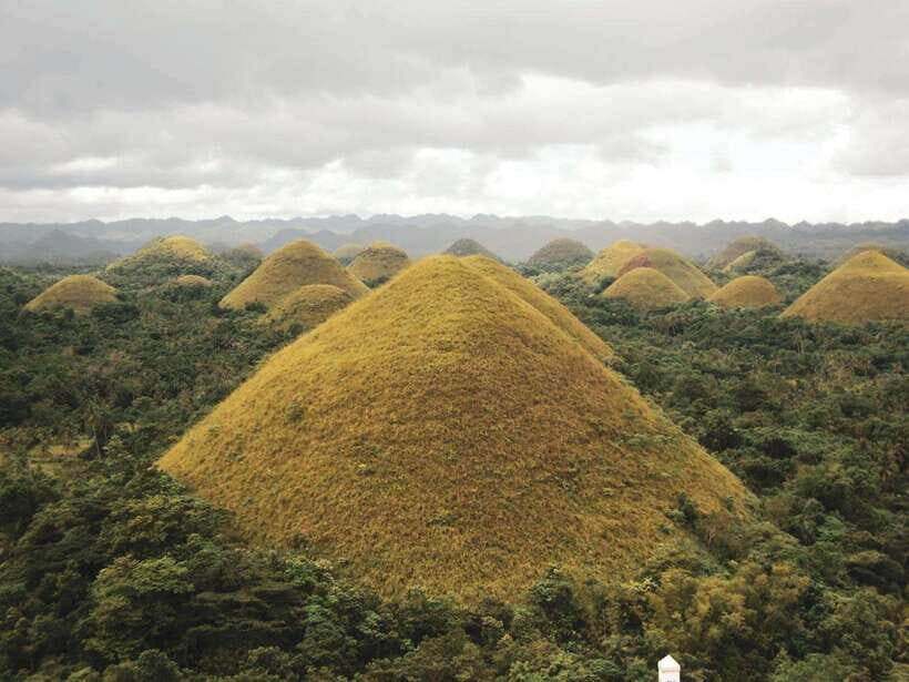 Bohol: Chocolate hills Private Eco-Tours - What the Tour Means for You