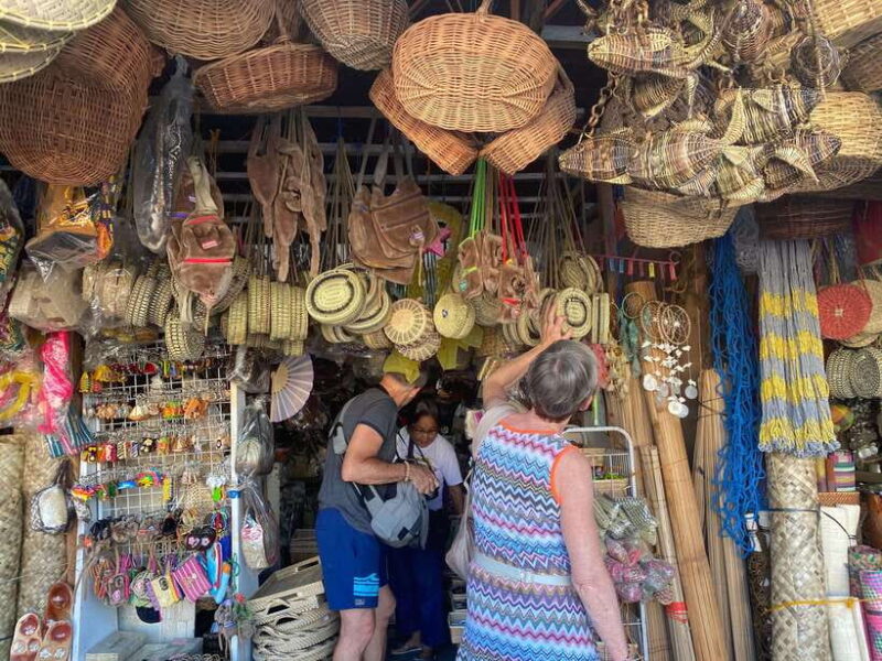 Bohol Chocolate hills Private Tour - Final Thoughts: Who Will Love This Tour?
