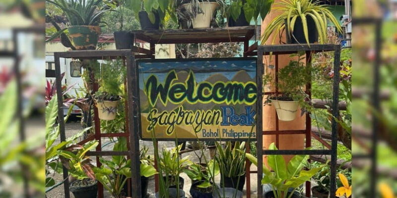 Bohol: Chocolate Hills, Tarsiers, & Asin Tibuok Private Tour - Key Points