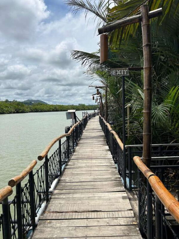 Bohol: Chocolate Hills Tour with Loboc River Cruise & Lunch - The Overall Experience: What Does it All Mean?