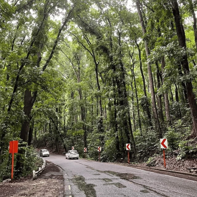 Bohol Chocolate Hills Tour with Loboc River Lunch Buffet - The Value of the Tour
