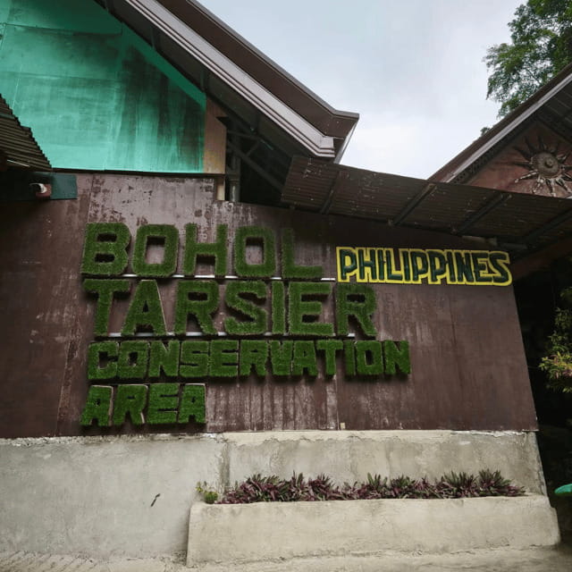 Bohol Chocolate Hills Tour with Loboc River Lunch Buffet - Who Will Love This Tour?