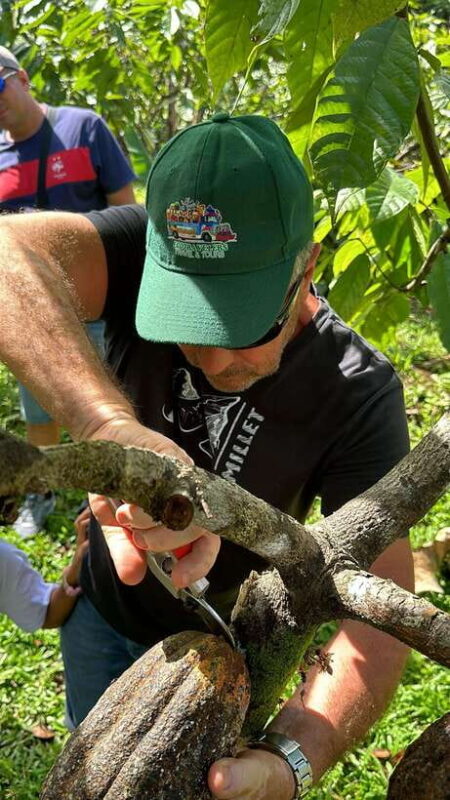 Bohol Chocolate Making and Farm Tour - Key Points