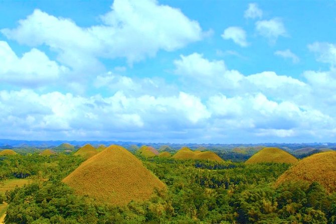 Bohol Countryside Day Tour from Cebu City or Mactan - Best Seller - Who Would Love This Tour?