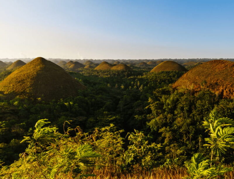 Bohol: Countryside Tour with Tarsiers and Chocolate Hills - What Travelers Say