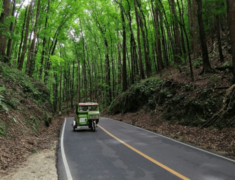 Bohol: Countryside Tour with Tarsiers and Chocolate Hills - The Sum Up