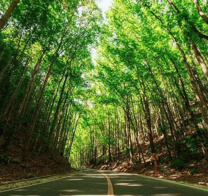 Bohol Day Tour From Cebu City or Mactan (Private Tour) - Who Might Want More Time?