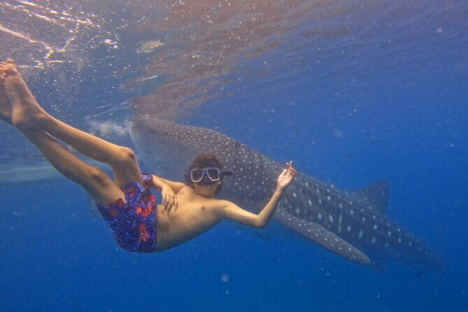 Bohol Day Tour from Cebu (Shared) w/ RT Transfers & Ferry - Final Thoughts
