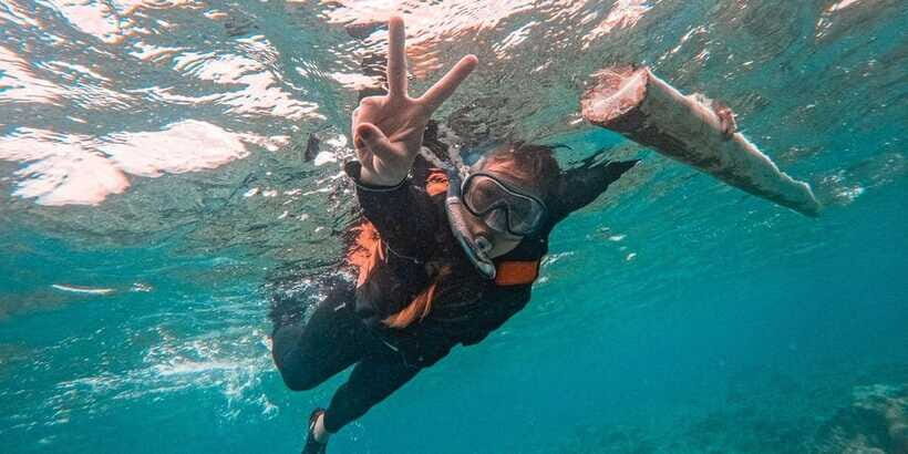 Bohol: Dolphin Watching & Balicasag Island Hopping Tour - The Experience Provider: GoPanglao Travel and Tours