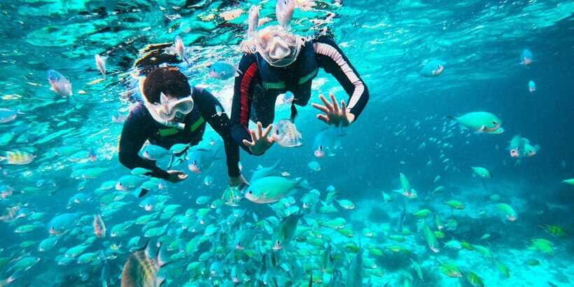 Bohol: Dolphin Watching & Balicasag Island Hopping Tour - Practical Tips for Participants
