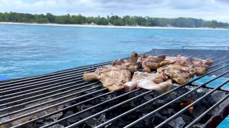 Bohol: Dolphin Watching & Snorkeling at Balicasag Island - Key Points