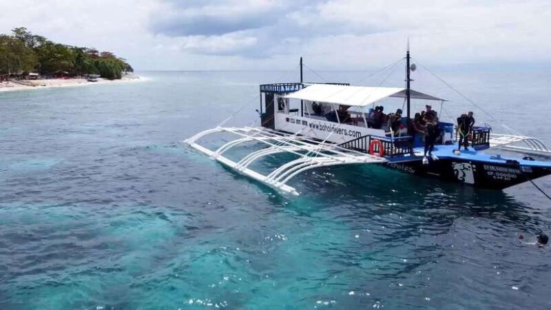 Bohol: Dolphin Watching & Snorkeling at Balicasag Island - Who Should Consider This Tour?