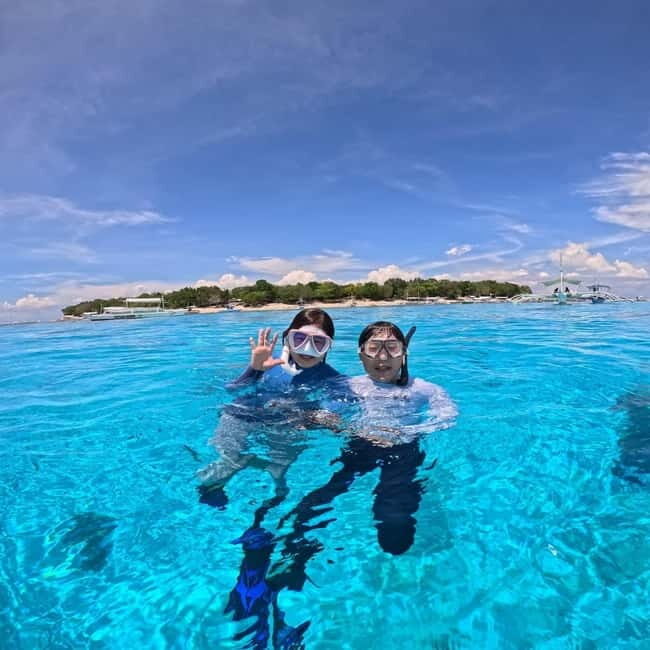 BOHOL: Dolphin Watching, Turtle Swim and Island Party - Authentic Marine Encounters and Fun Vibes