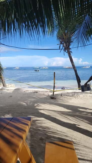 BOHOL: Dolphin Watching, Turtle Swim and Island Party - FAQ