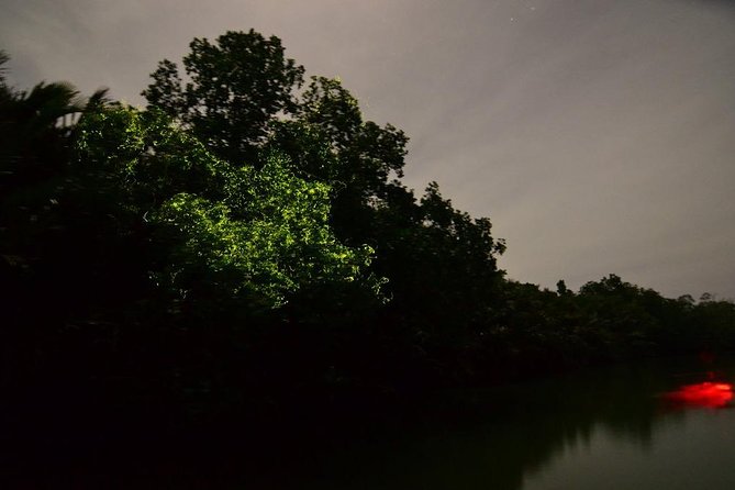 Bohol Firefly Watching (Private) - The Sum Up