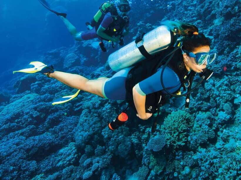 Bohol: First-Time Scuba Dive - No Experience Needed - FAQ