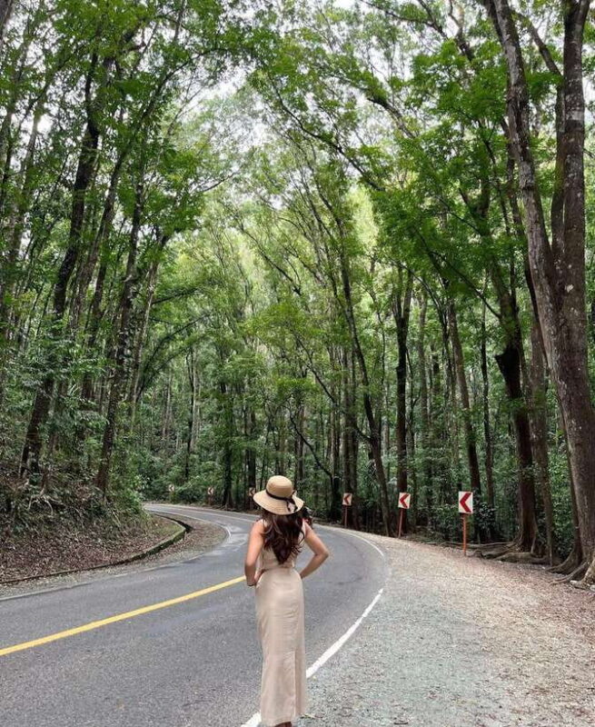 Bohol: Guided Chocolate Hills & Tarsiers Tour - How the Experience Feels