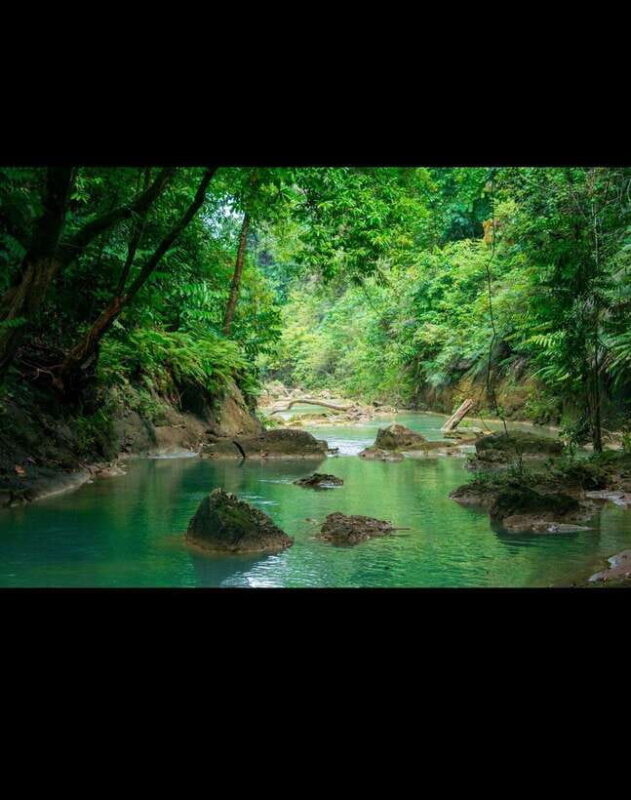 Bohol: Hidden Waterfall Hopping and Jungle Trek Adventure - The Sum Up: Who Will Love This Experience?