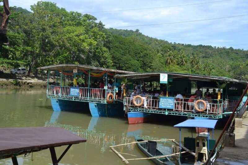 Bohol: Loboc River Buffet-Lunch Cruise with Private Transfer - The Food: Worth the Price?