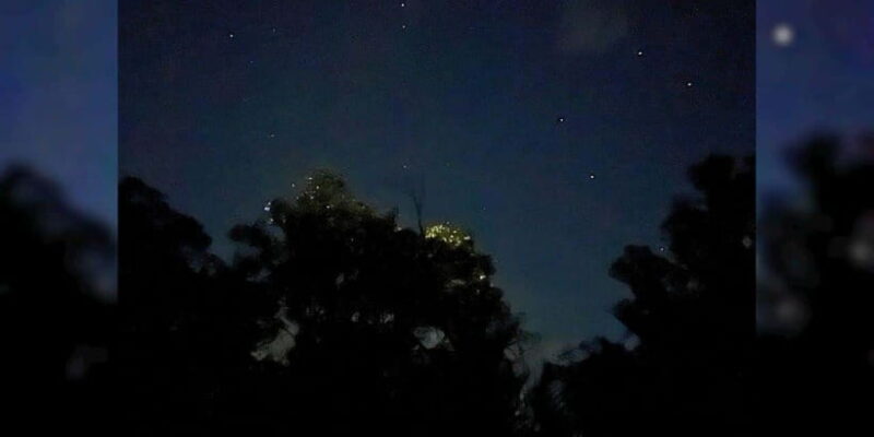 Bohol: Loboc River Firefly Watching Shared Tour - Key Points