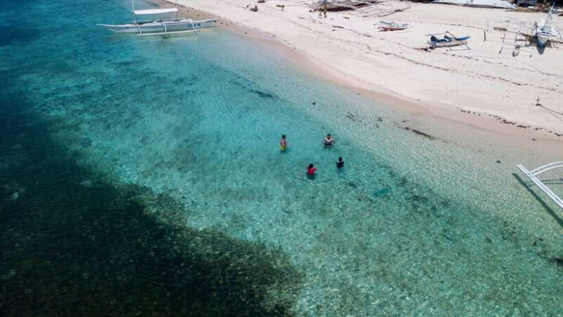 Bohol: Pamilacan Island Dolphin/Turtle Watching Tour & Lunch - FAQ