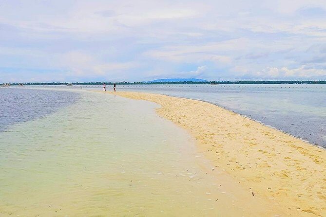 Bohol: Pamilacan Island Dolphin & Whale Watching Tour - An In-Depth Look at the Tour