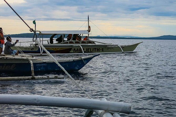 Bohol: Pamilacan Island Dolphin & Whale Watching Tour - Final Thoughts