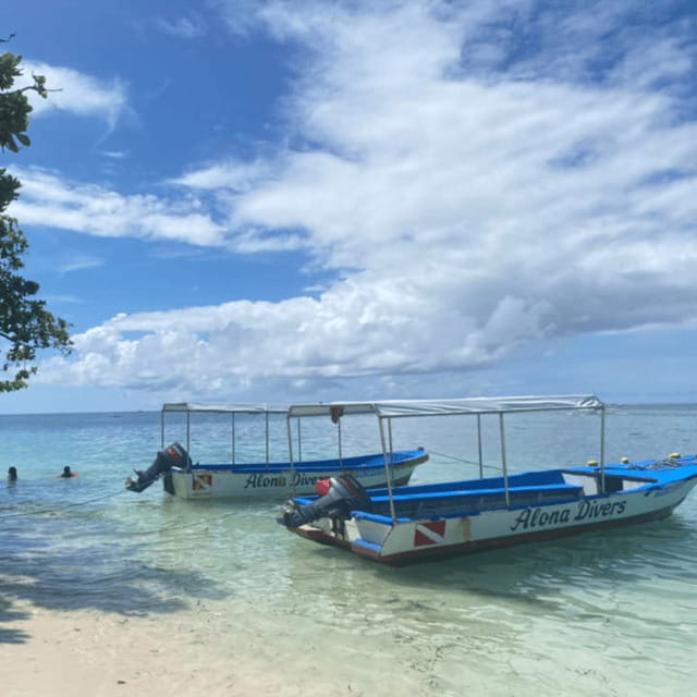 Bohol: Pamilacan Island Fun Dive Experience! - Who Should Consider This Tour?
