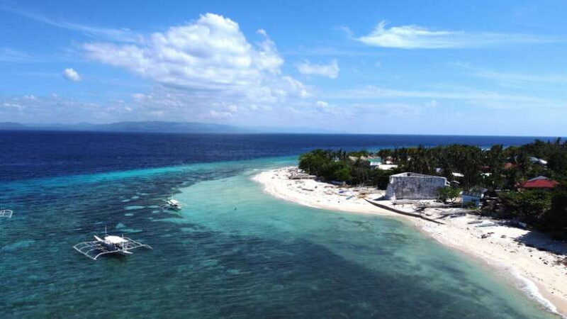 Bohol PAMILACAN Island Turtle & Dolphin Watching - Key Points