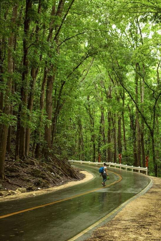 Bohol: Premium Chocolate Hills, Tarsiers & River Experience - Why the “Premium” Label Matters