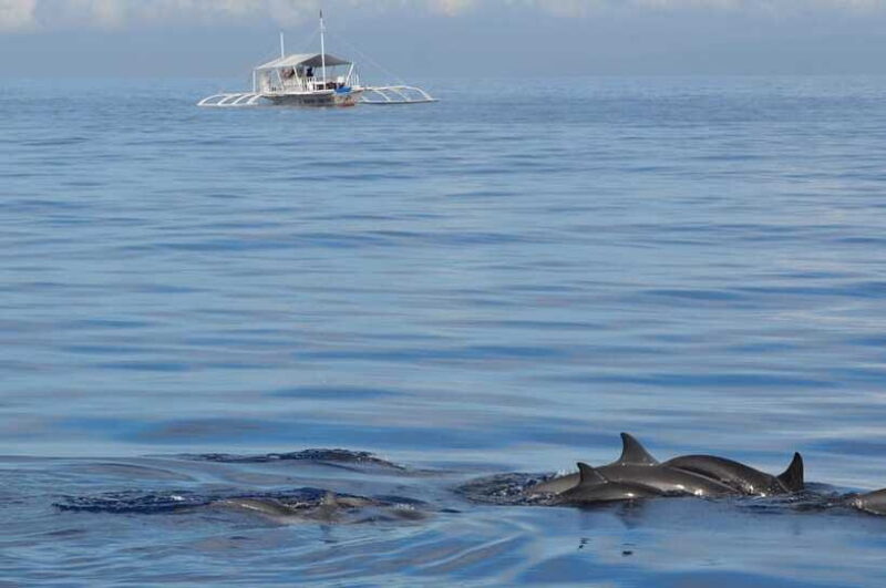 Bohol: Private Balicasag Tour with extra snorkeling time - Additional Snorkeling Spots and Flexibility