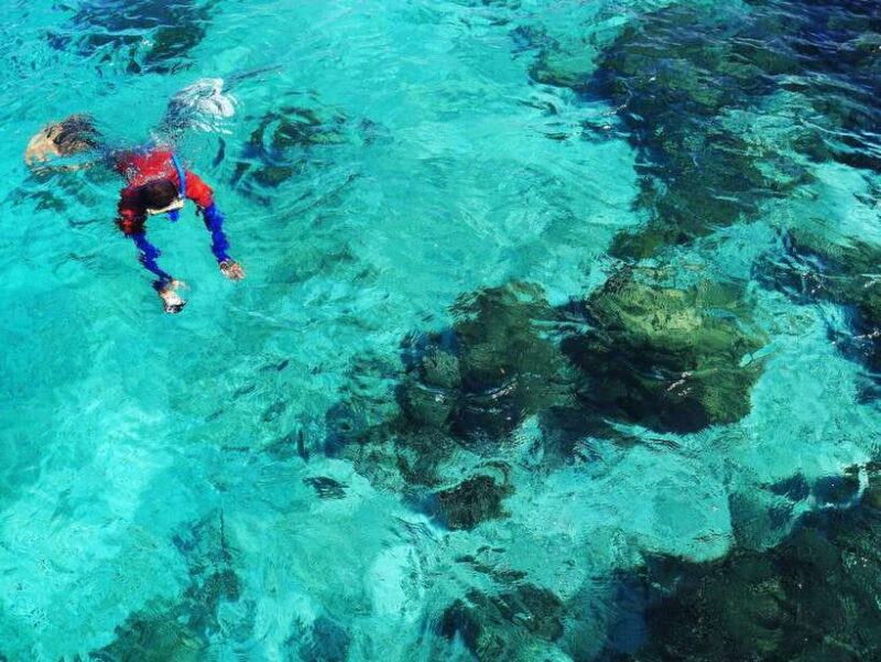 Bohol: Private Balicasag Tour with extra snorkeling time - Who Will Love This Tour?