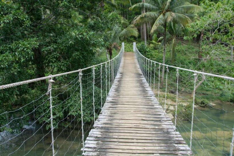 Bohol: Private Countryside Tour with Buffet Lunch - A Possible Consideration