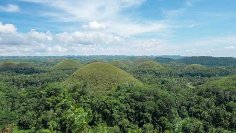 Bohol: Private Countryside Tour with Buffet Lunch - Who This Tour Is Best Suited For