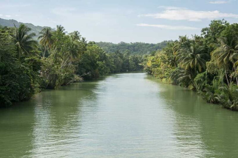 Bohol: Private Countryside Tour with Buffet Lunch - Stop 4: Chocolate Hills Viewpoint