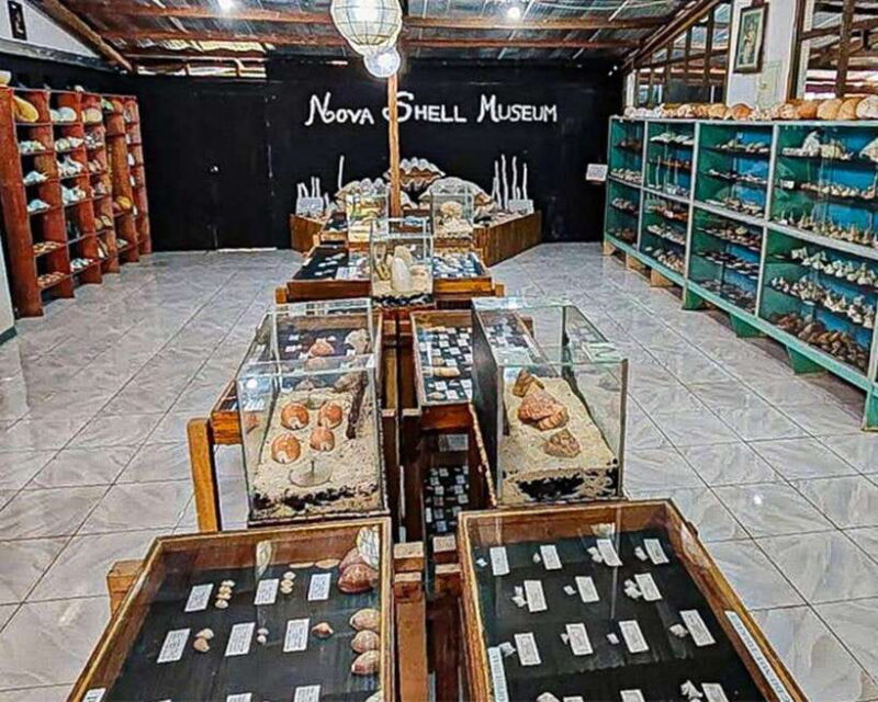 Bohol: PRIVATE Panglao Land Tour - Key Points