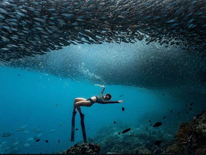 Bohol: Private Sardine Snorkel & Tropical Fish Tour - Final Thoughts: Is It Worth It?