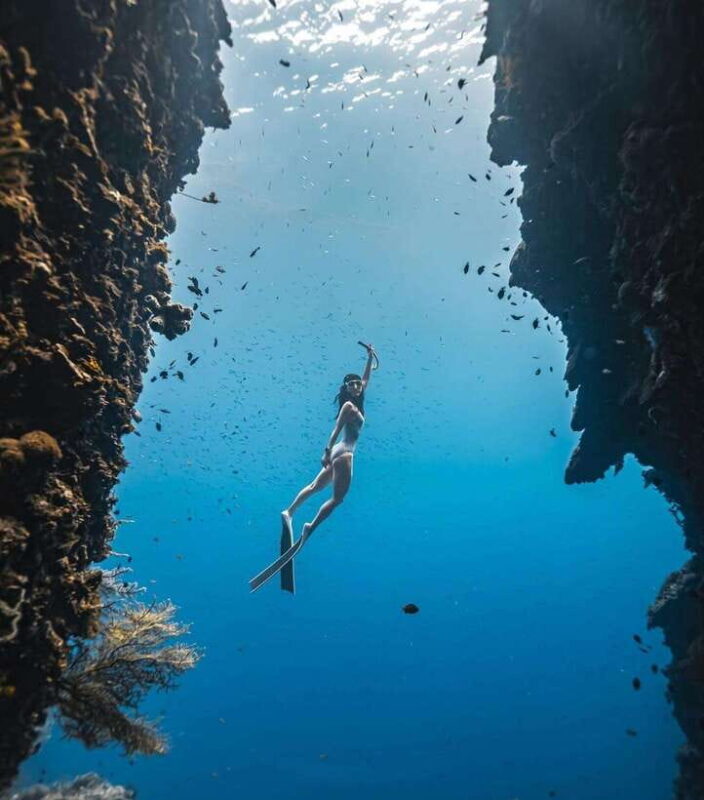 Bohol: Snorkel One of PHs Largest Sardine Schools - Key Points