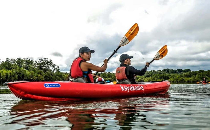 Bohol: SUSTAINABLE Mangrove Tunnels & Firefly Kayaking trail - Exploring the Kayaking Experience