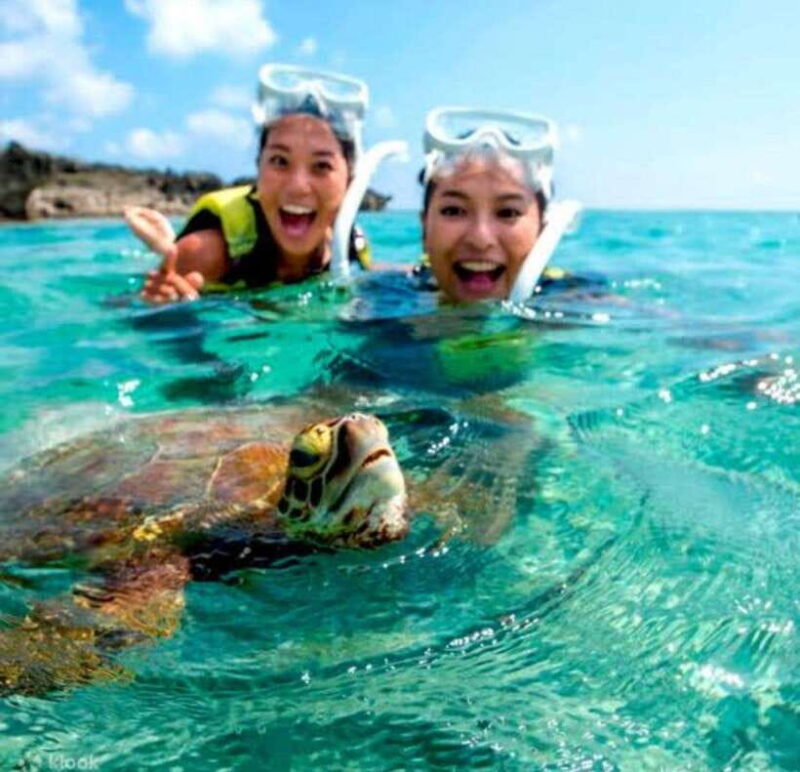 Bohol: Swim with Sea Turtles, Dolphins & Island Hopping Tour - What’s Included and What’s Not