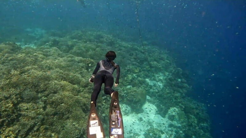 Bohol: Turtle Sanctuary Snorkeling Boat Tour with Lunch - The Sum Up: Is This Tour Right for You?