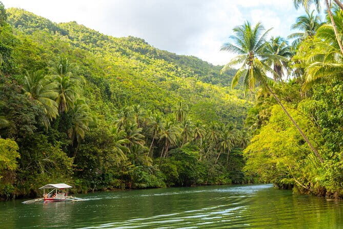 Bohol Whaleshark Watching with Loboc River Lunch - Practical Details and Tips