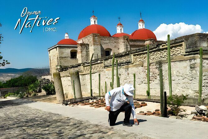 Boil the Water and Mitla Mezcal Tour - Who Should Consider This Tour?
