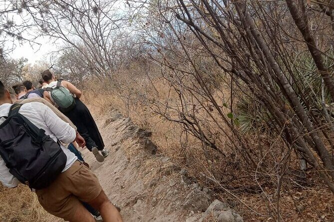 Boil the water hiking tour - The Bottom Line